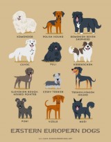 Adorable Guide Shows Dogs Of The World By Geographic Origin – BuzzDog