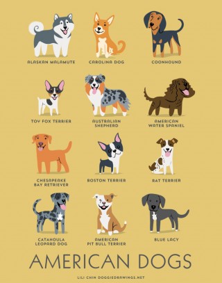 Adorable Guide Shows Dogs Of The World By Geographic Origin – BuzzDog
